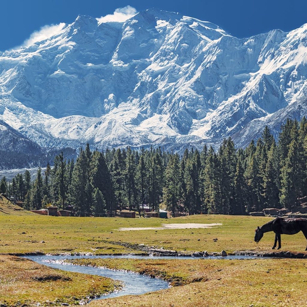 Fairy Meadows - Travellem